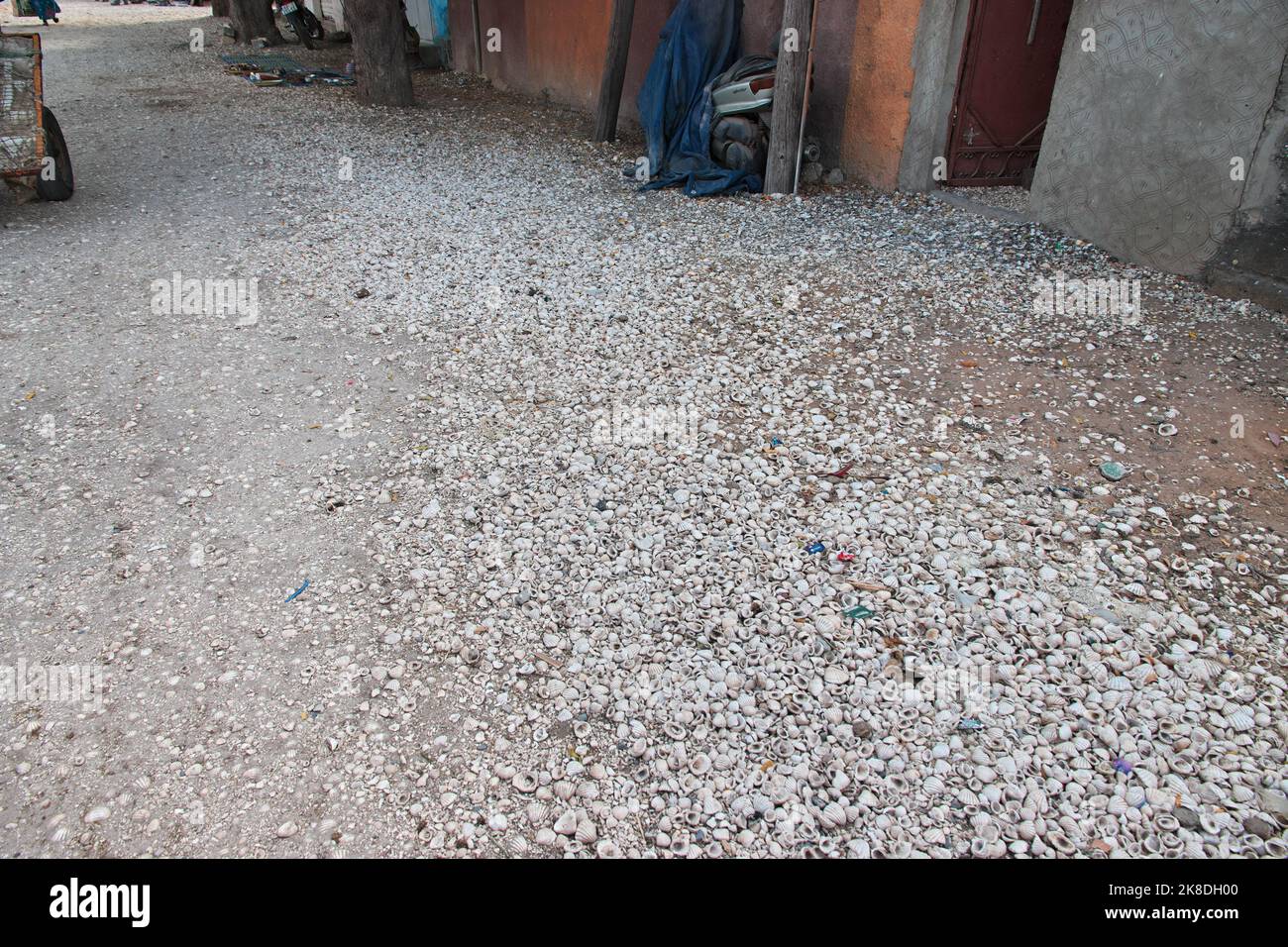 Some shells in the village on Fadiouth island, Senegal Stock Photo - Alamy