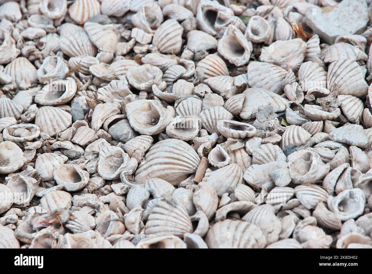 Fadioth hi-res stock photography and images - Alamy