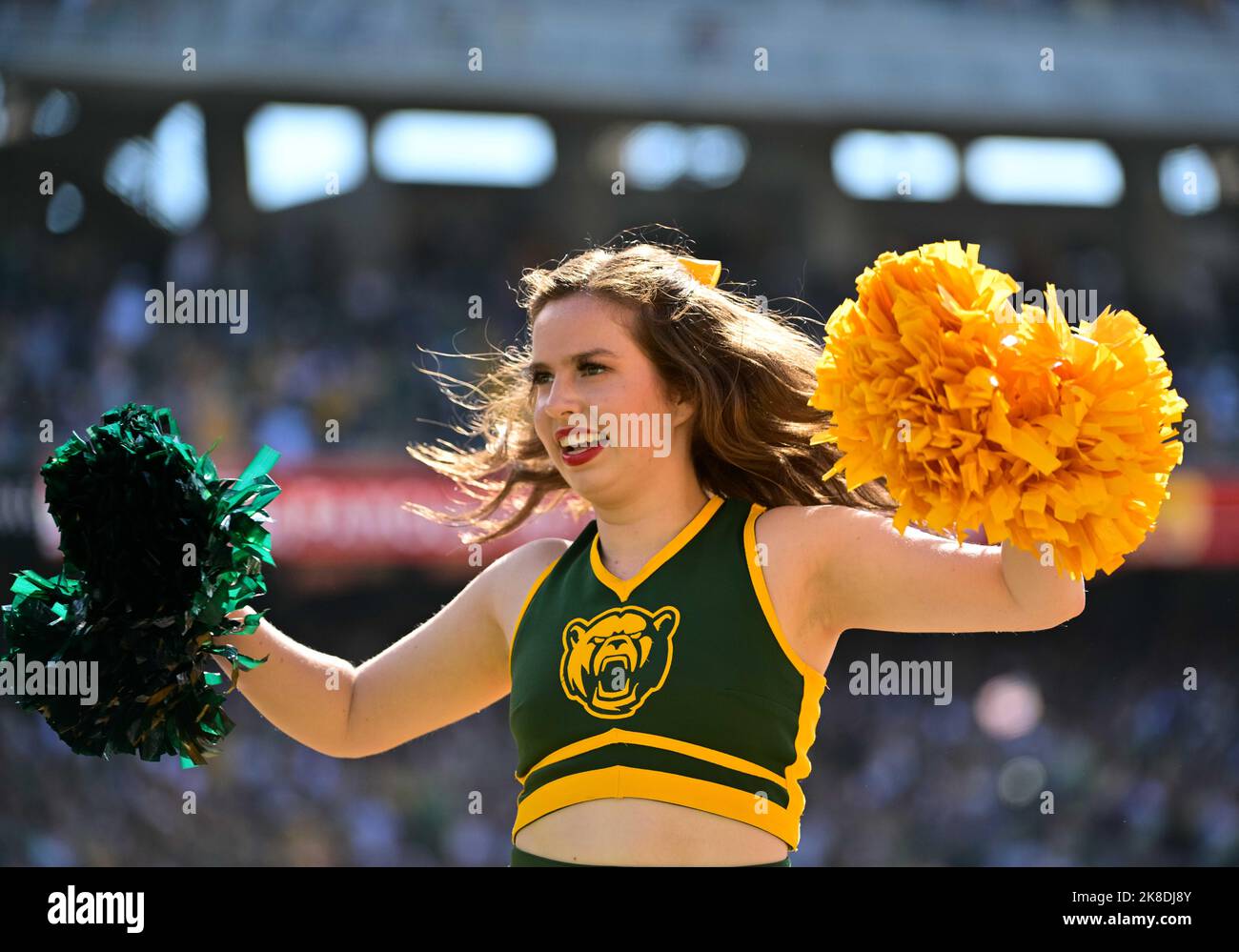 Waco, Texas, USA. 22nd Oct, 2022. Baylor Bears cheerleader after a ...