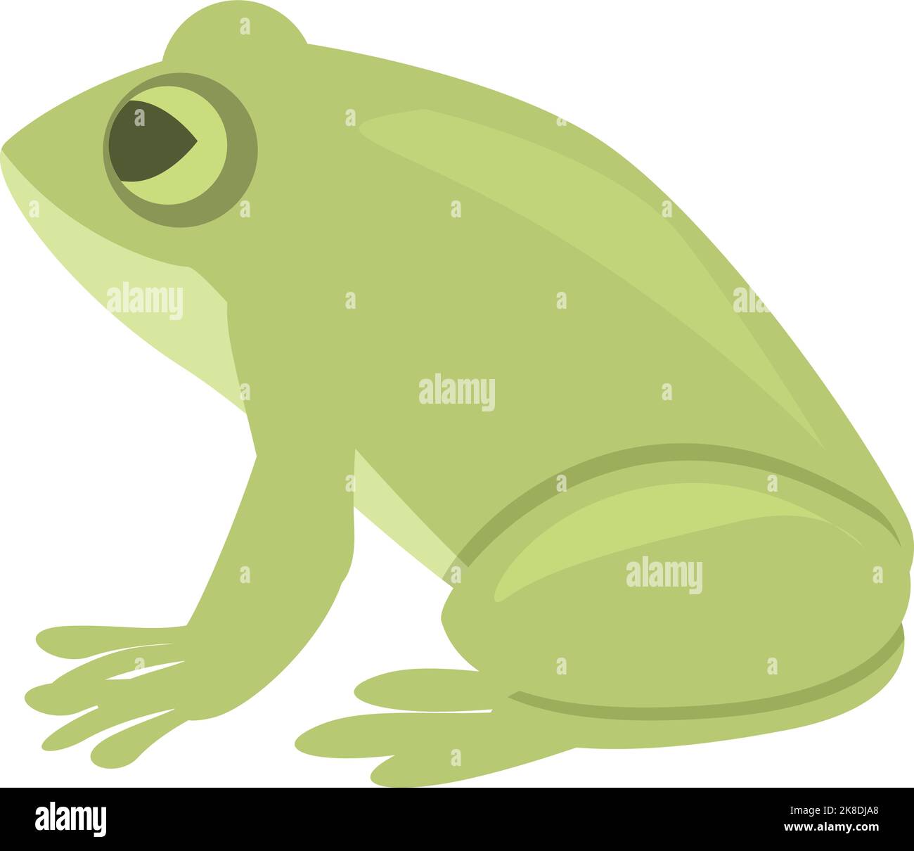 Baby green tree frog Cut Out Stock Images & Pictures - Alamy