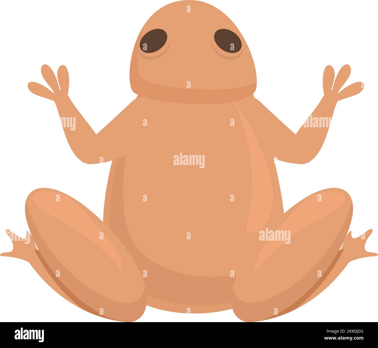 Top view frog icon cartoon vector. Water animal. Funny character Stock ...