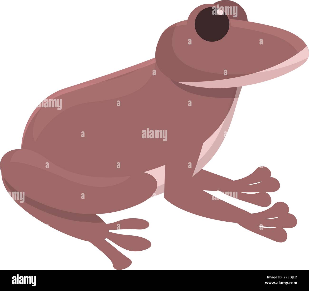 Forest frog icon cartoon vector. Cute character. Life animal Stock ...
