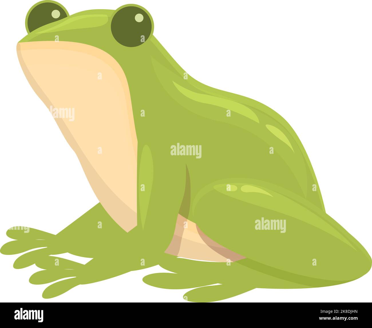 Water lily flower frog Cut Out Stock Images & Pictures - Alamy