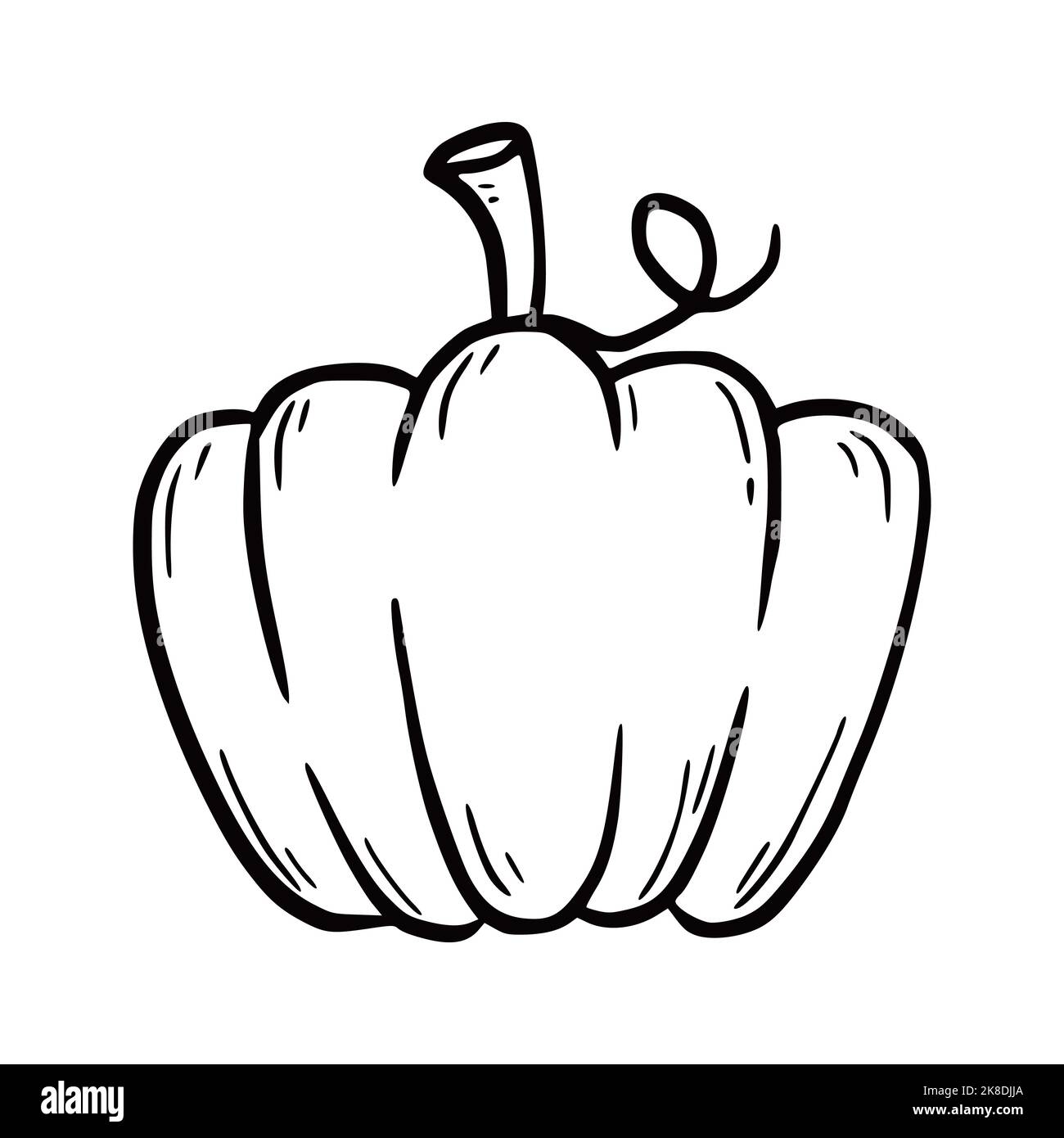 Hand drawn pumpkin. Doodle sketch style. Drawing line simple pumpkin ...