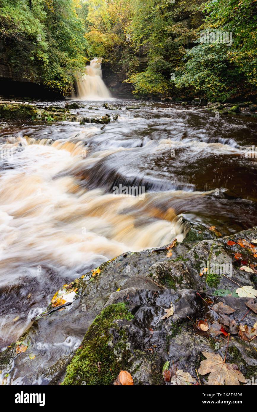 Cauldron Force waterfall at West Burton after heavy rain Stock Photo ...