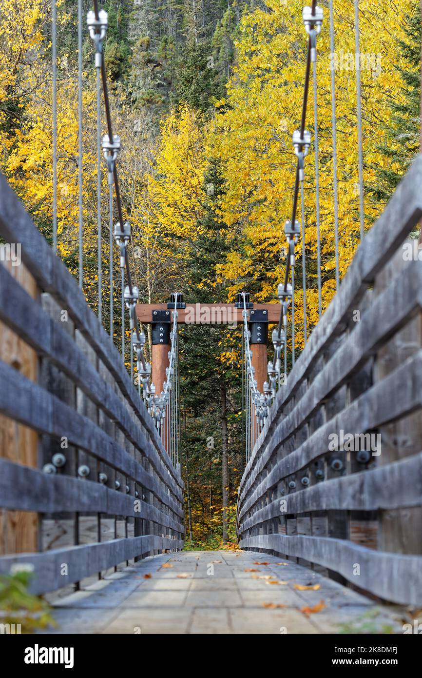 Small wooden bridge on La Riviere-des-Martres on the Riverain path, a ...