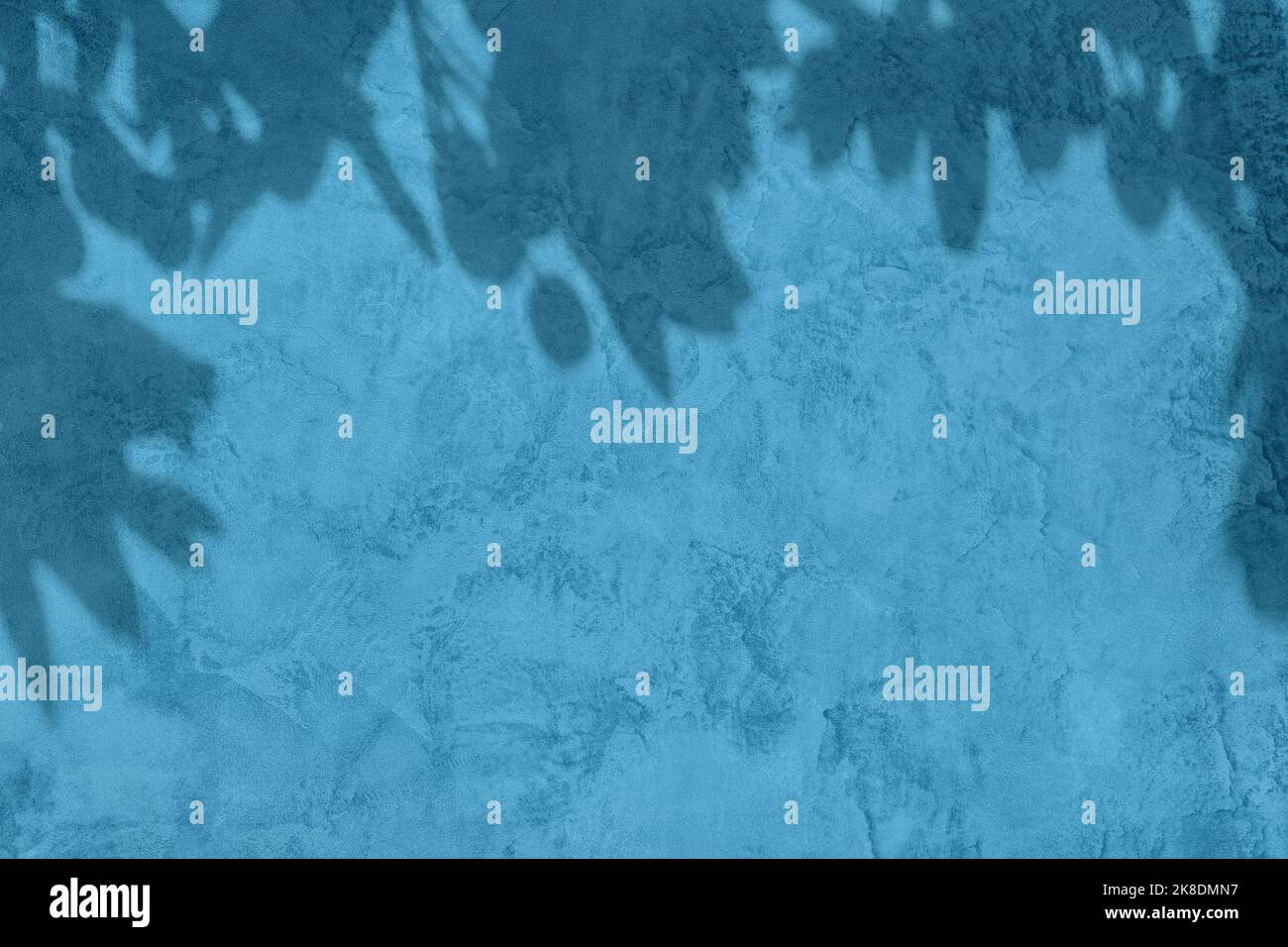 Shadow of leaves on pastel blue concrete wall texture background Stock Photo - Alamy