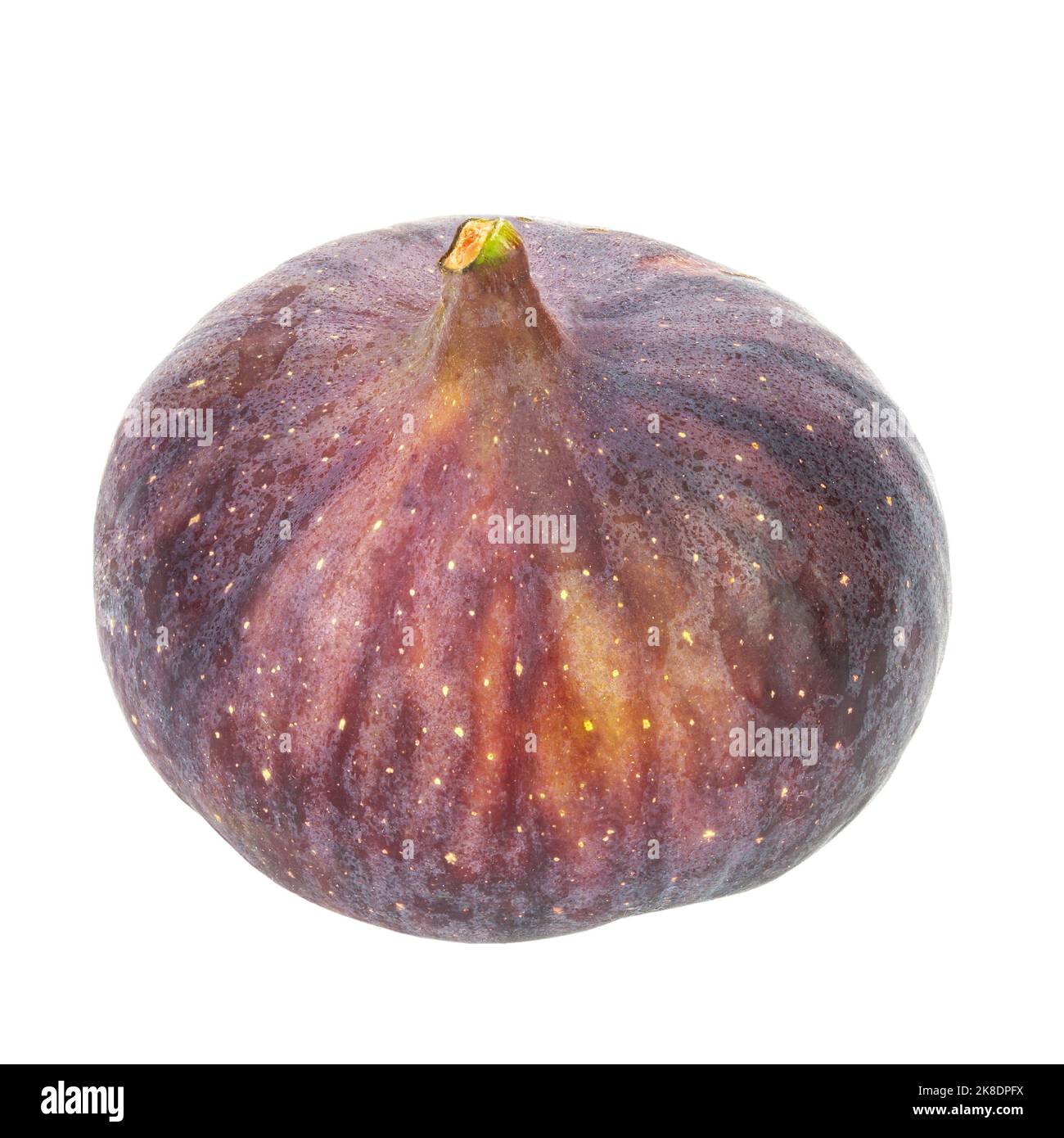 Fresh fig. Fruit isolated on white background. File contains clipping ...