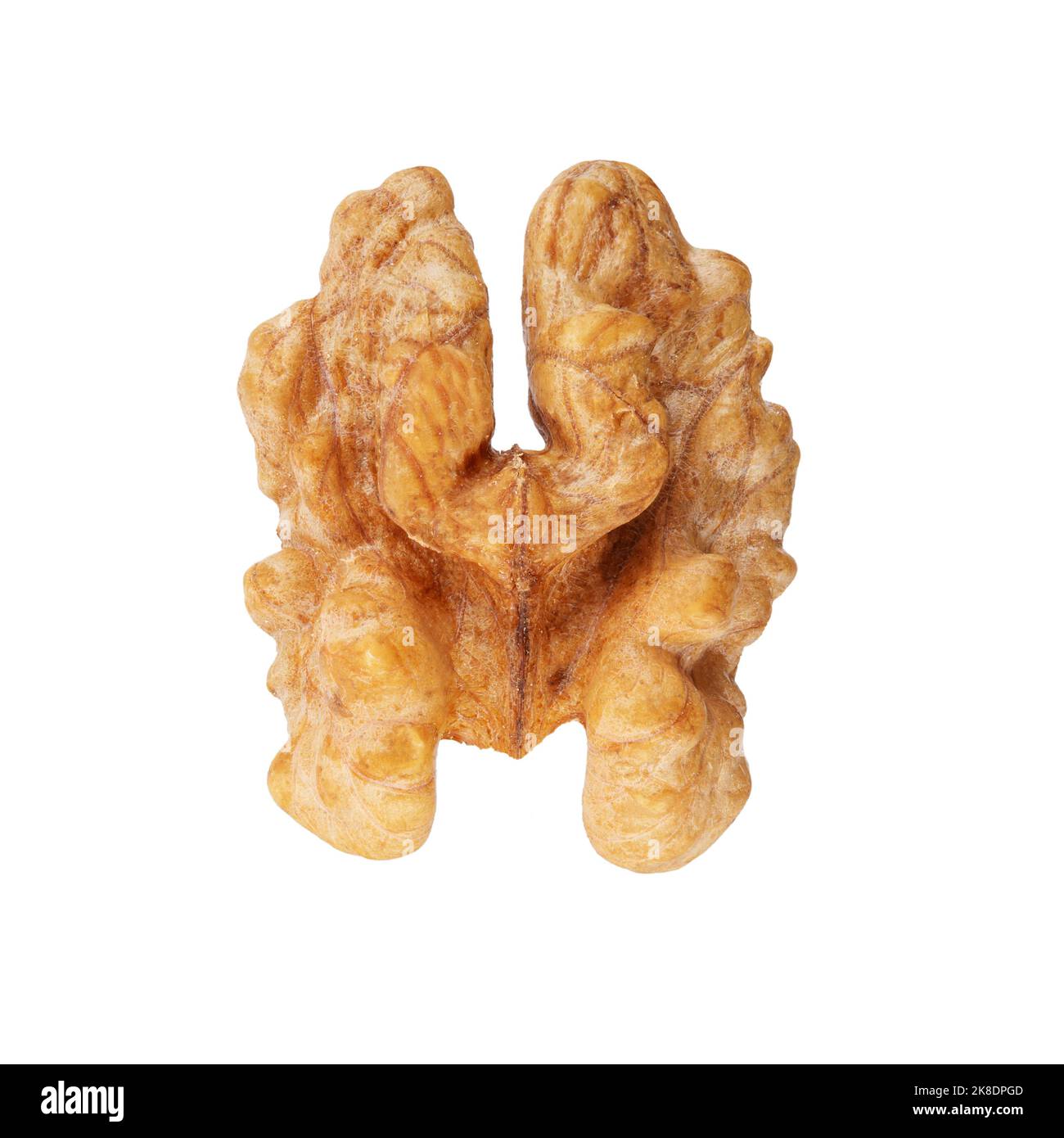 Walnut. Walnut kernel. Nut isolated on white isolated on white ...