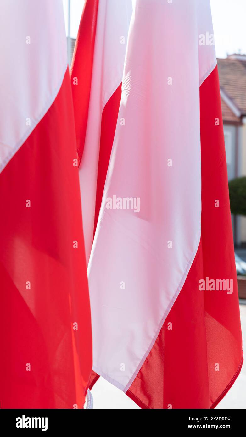 Red and white flags set close together. Symbol and Polish national ...