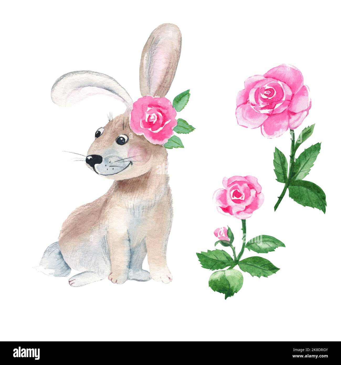 Cute bunny with pink roses isolated on white background. Watercolor ...