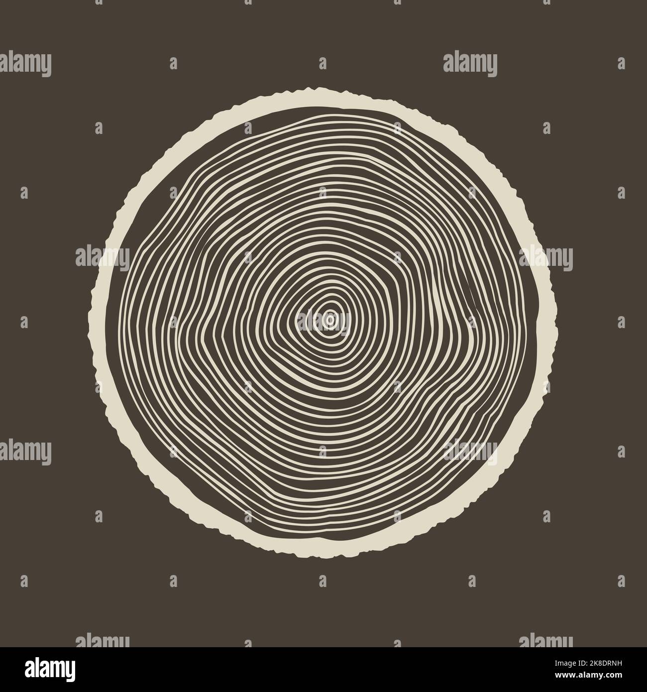 Round tree trunk cut, sawn pine or oak slice. Saw cut timber, wood ...