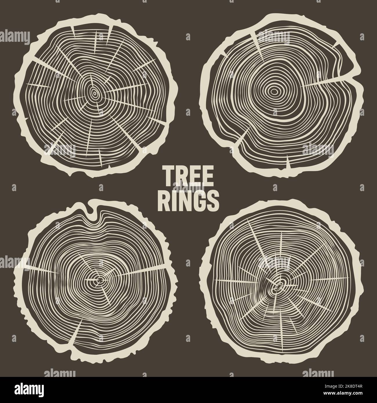Round tree trunk cuts with cracks, sawn pine or oak slices, lumber. Saw ...