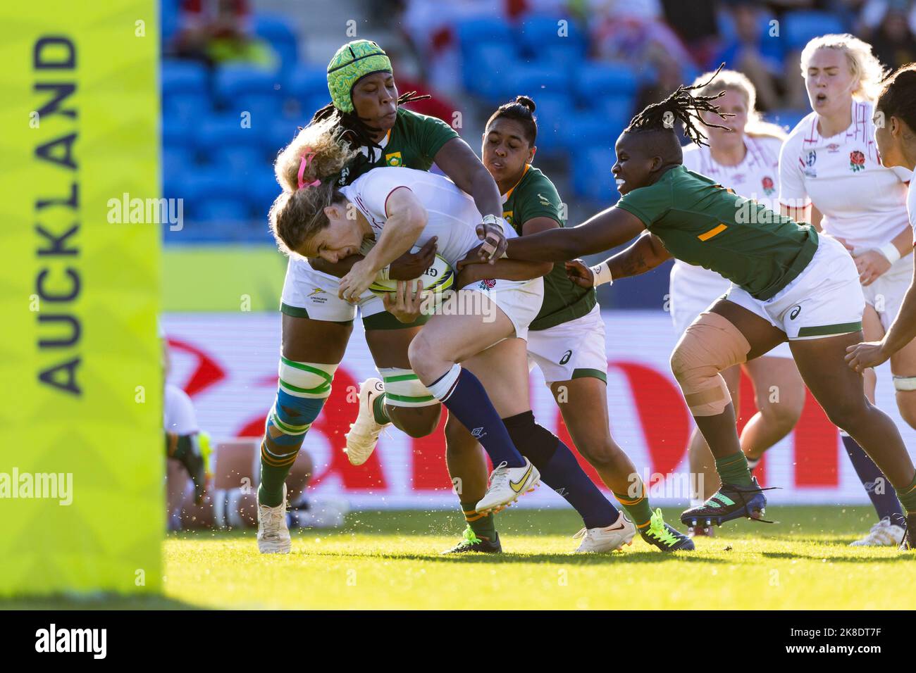 Abby dow 2022 hi-res stock photography and images - Alamy