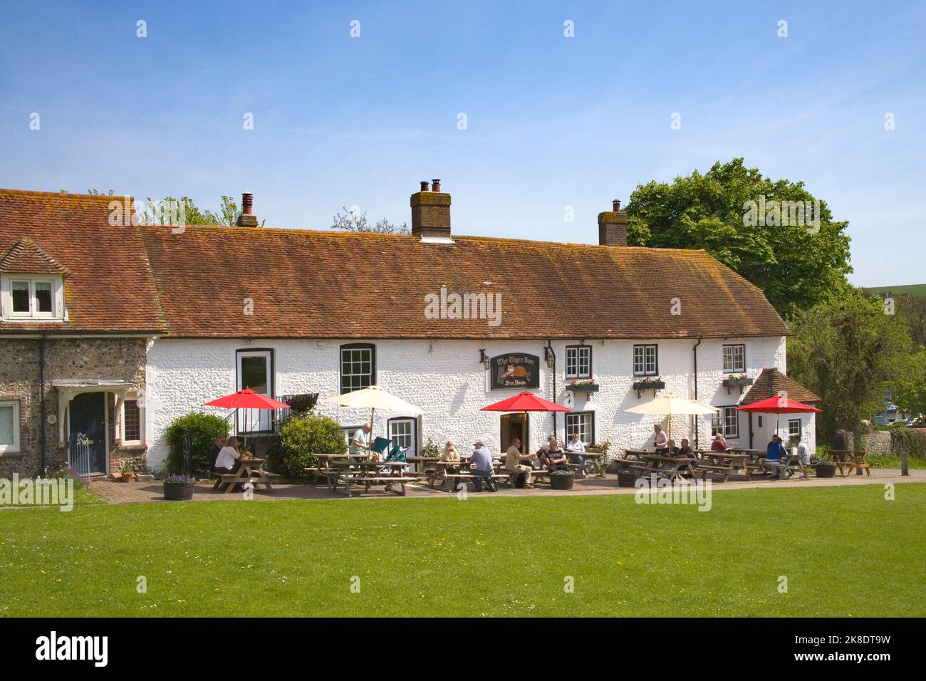 the tiger inn on the green in east dean village east sussex Stock Photo ...