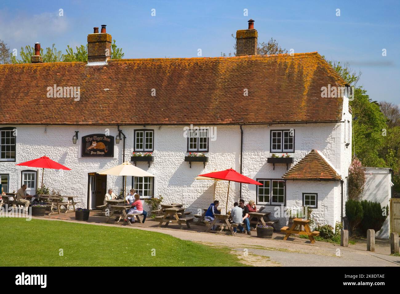the tiger inn on the green in east dean village east sussex Stock Photo ...