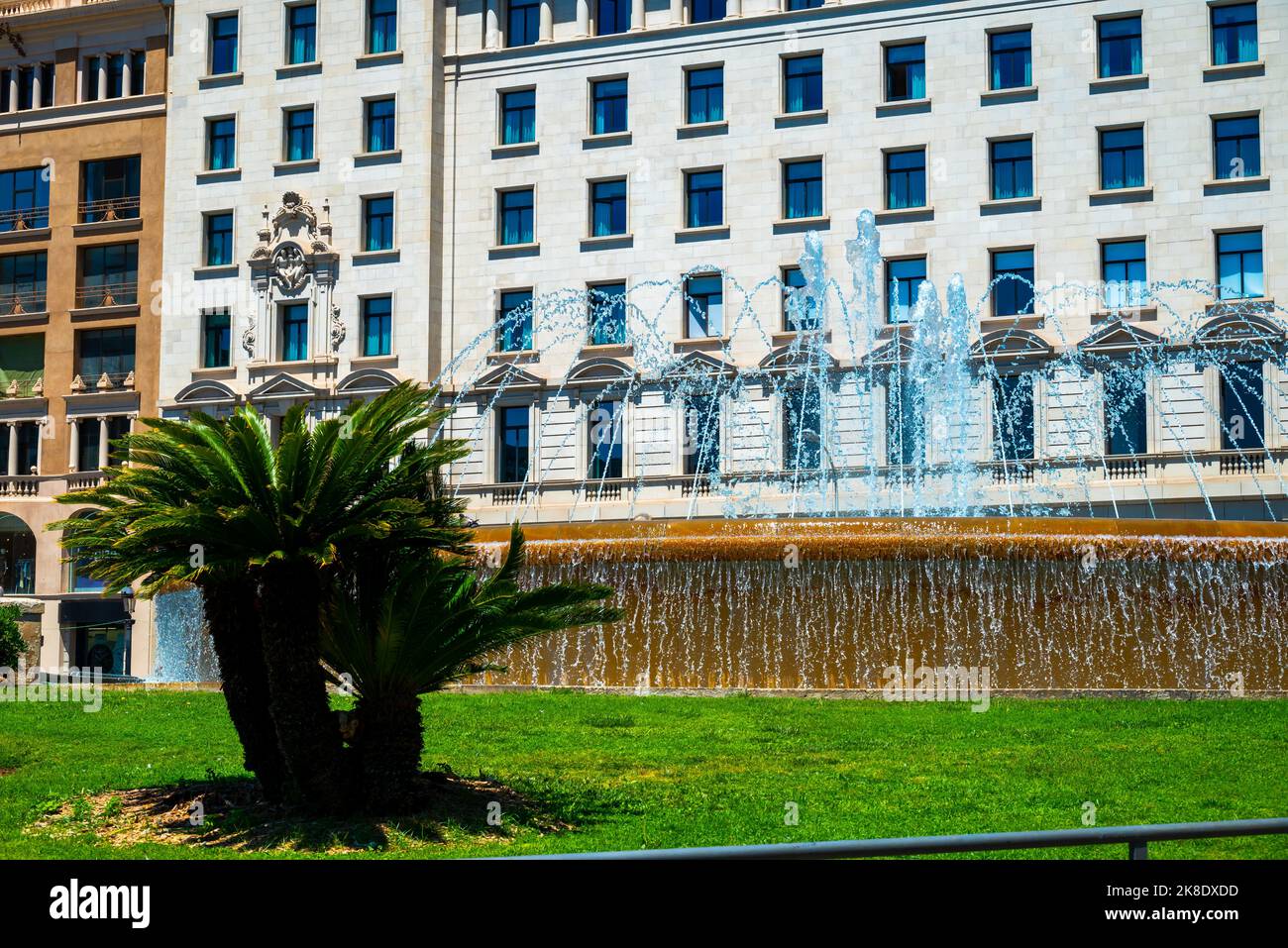 Close-up of green palm against background of the fountain in Plaza ...