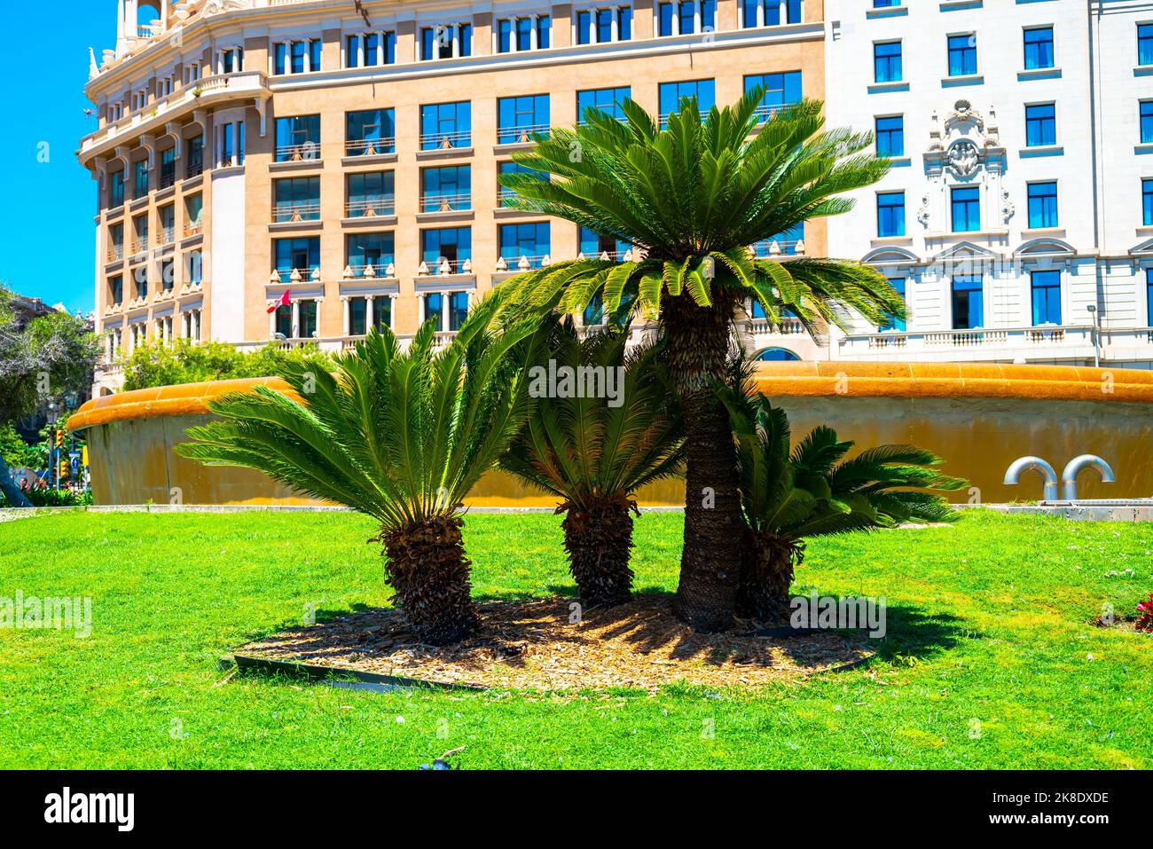 Tree infographic hi-res stock photography and images - Alamy