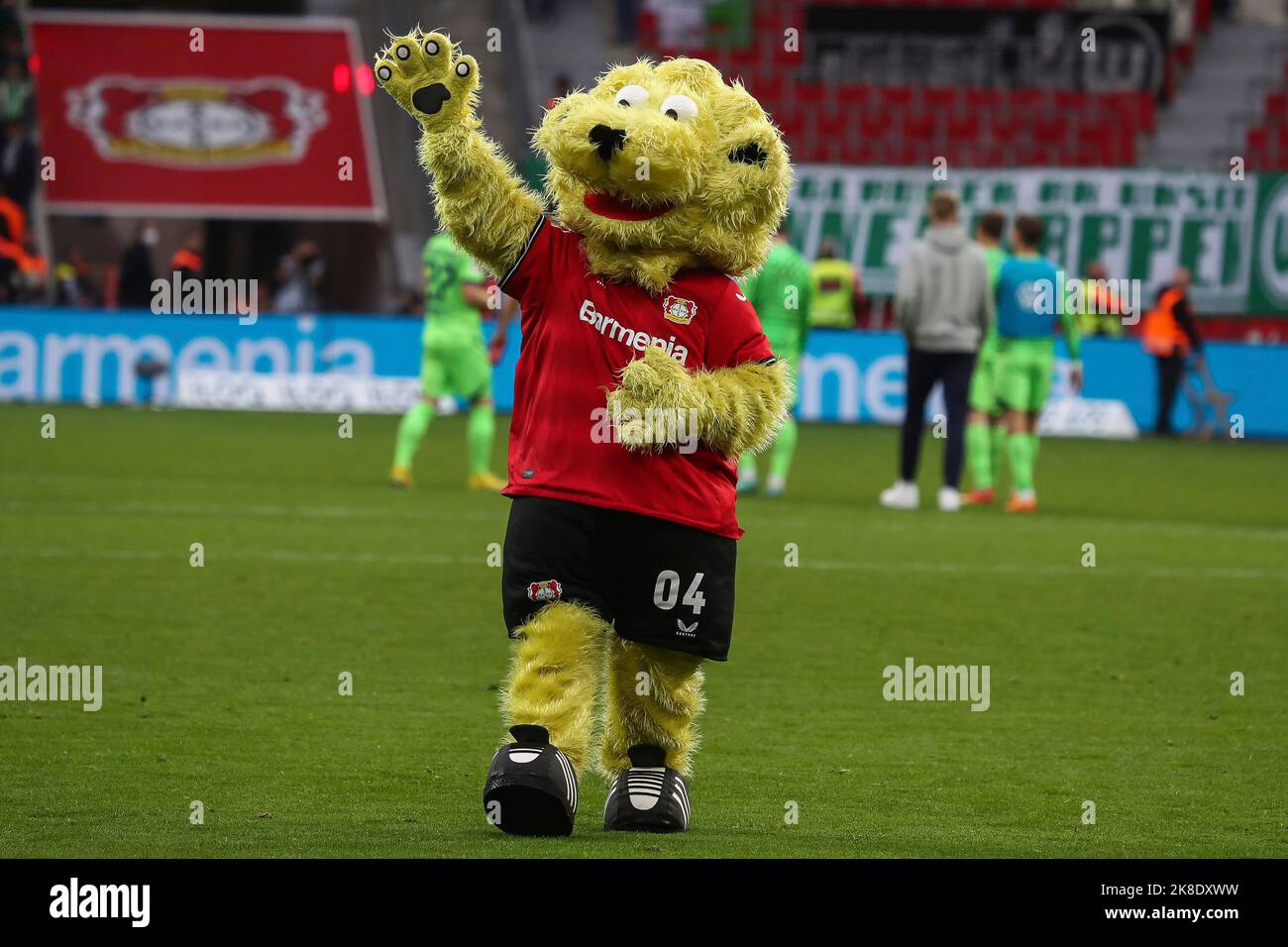 Lion soccer hi-res stock photography and images - Alamy