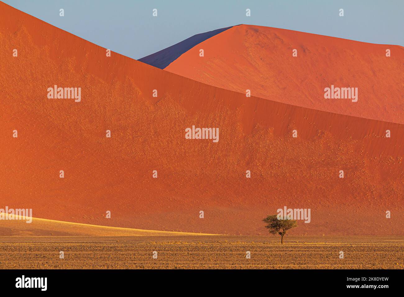 The famous dune 45. The southern part of the Namib Desert in the Namib ...