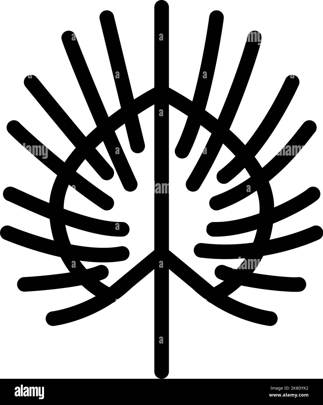 chinese fan palm line icon vector illustration Stock Vector Image & Art ...