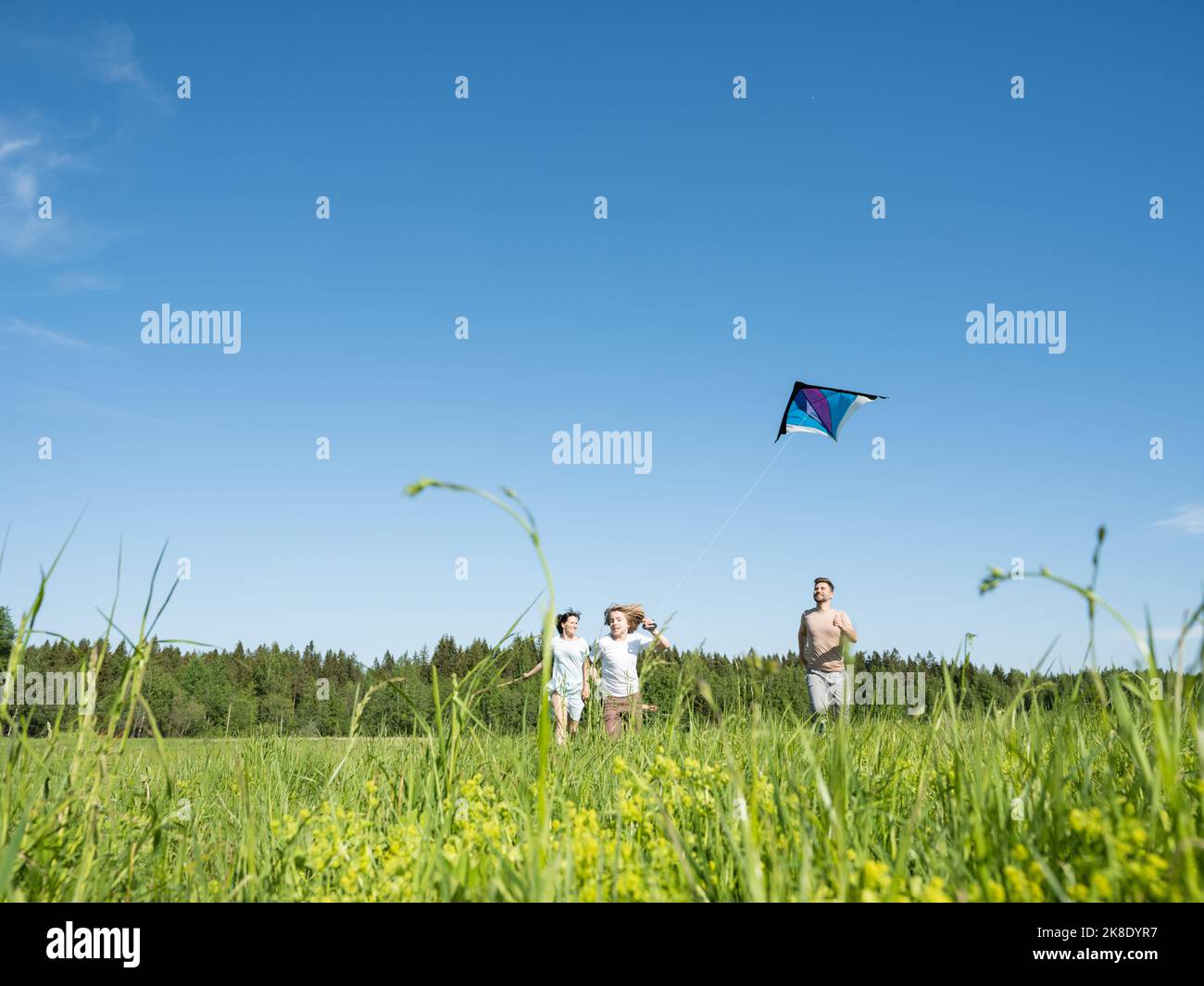 Family of parents and children running through field letting kite fly ...