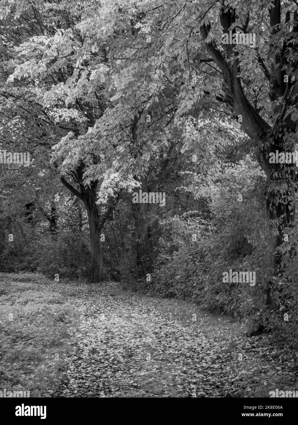 Aa river Black and White Stock Photos & Images - Alamy