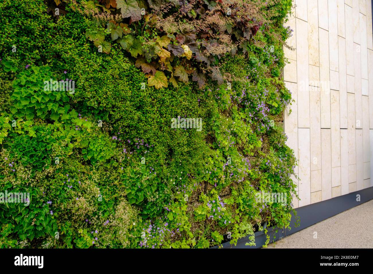 Living green walls, sustainable building, plant wall, shopping mall ...