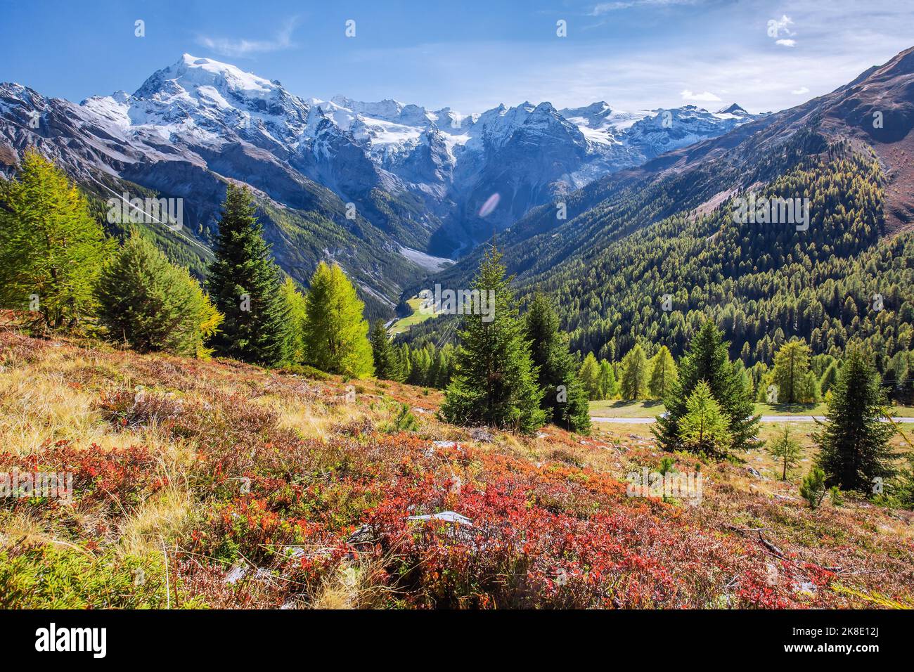 Panorama of the valley with Ortler 3905m and Trafoier ice wall 3565m in ...