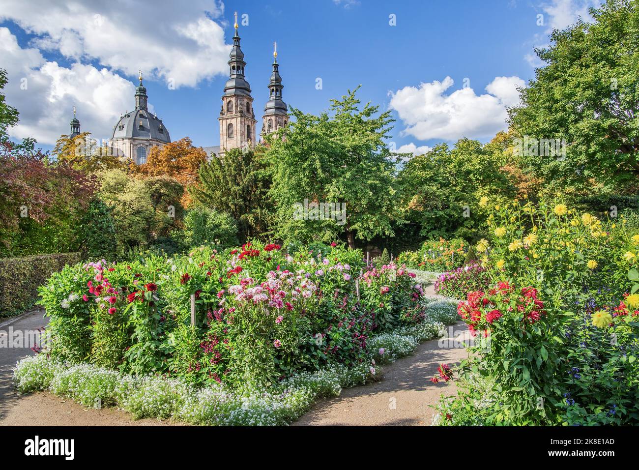 Dahlia garden with towers of St. Salvator Cathedral, Fulda, Fulda River ...