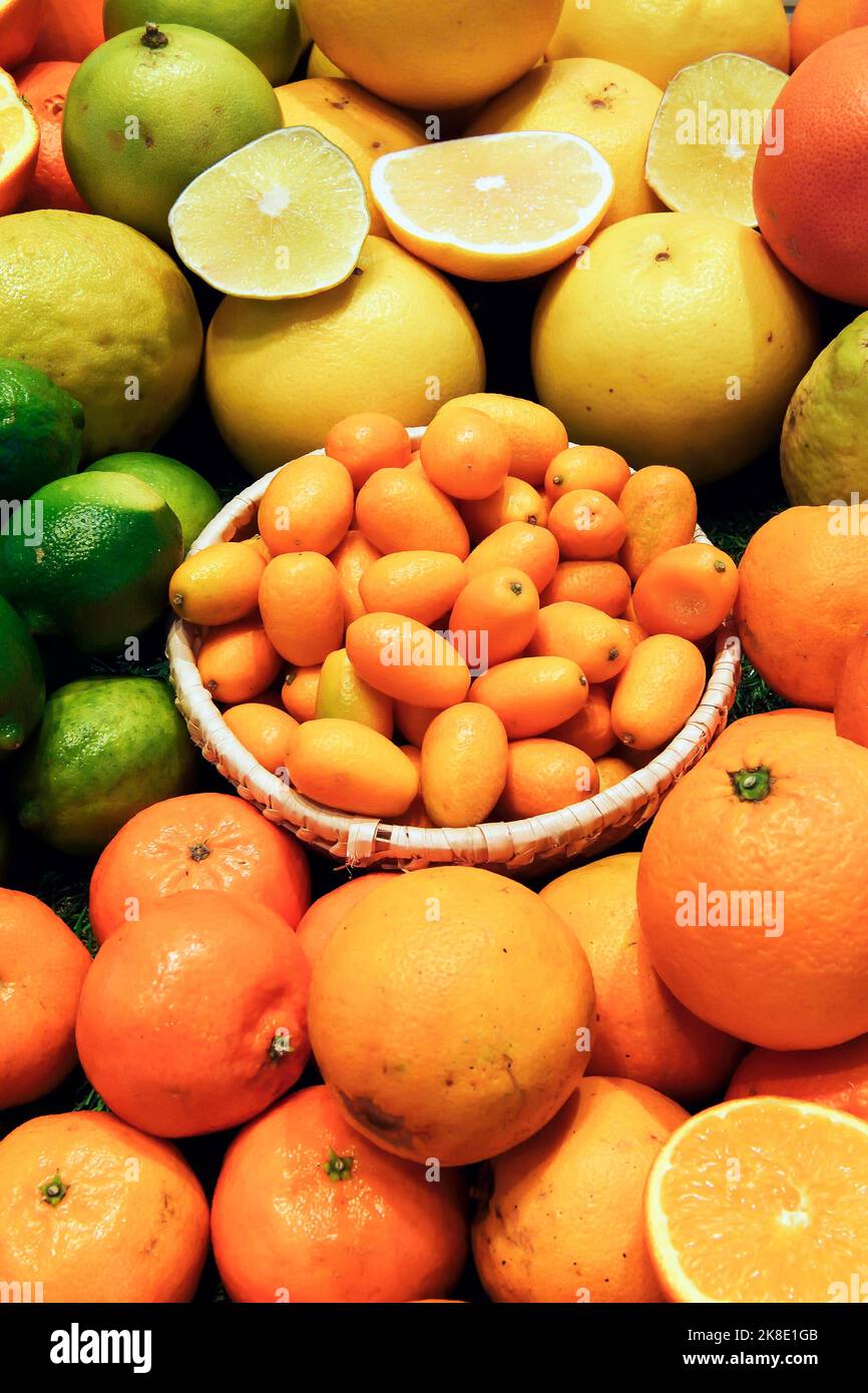Different kinds of citrus fruits in a display, Berlin, Germany Stock ...