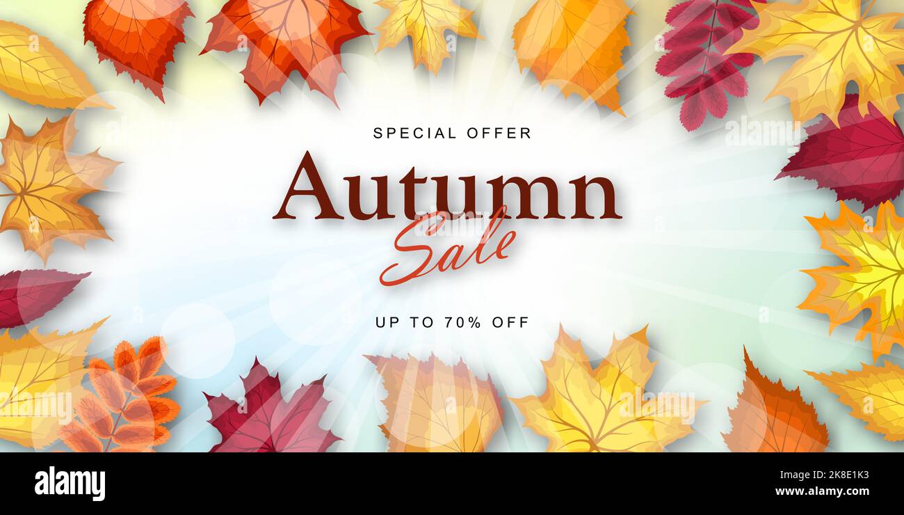 Fall sale banner with bright autumn leaves over vanilla sky background ...