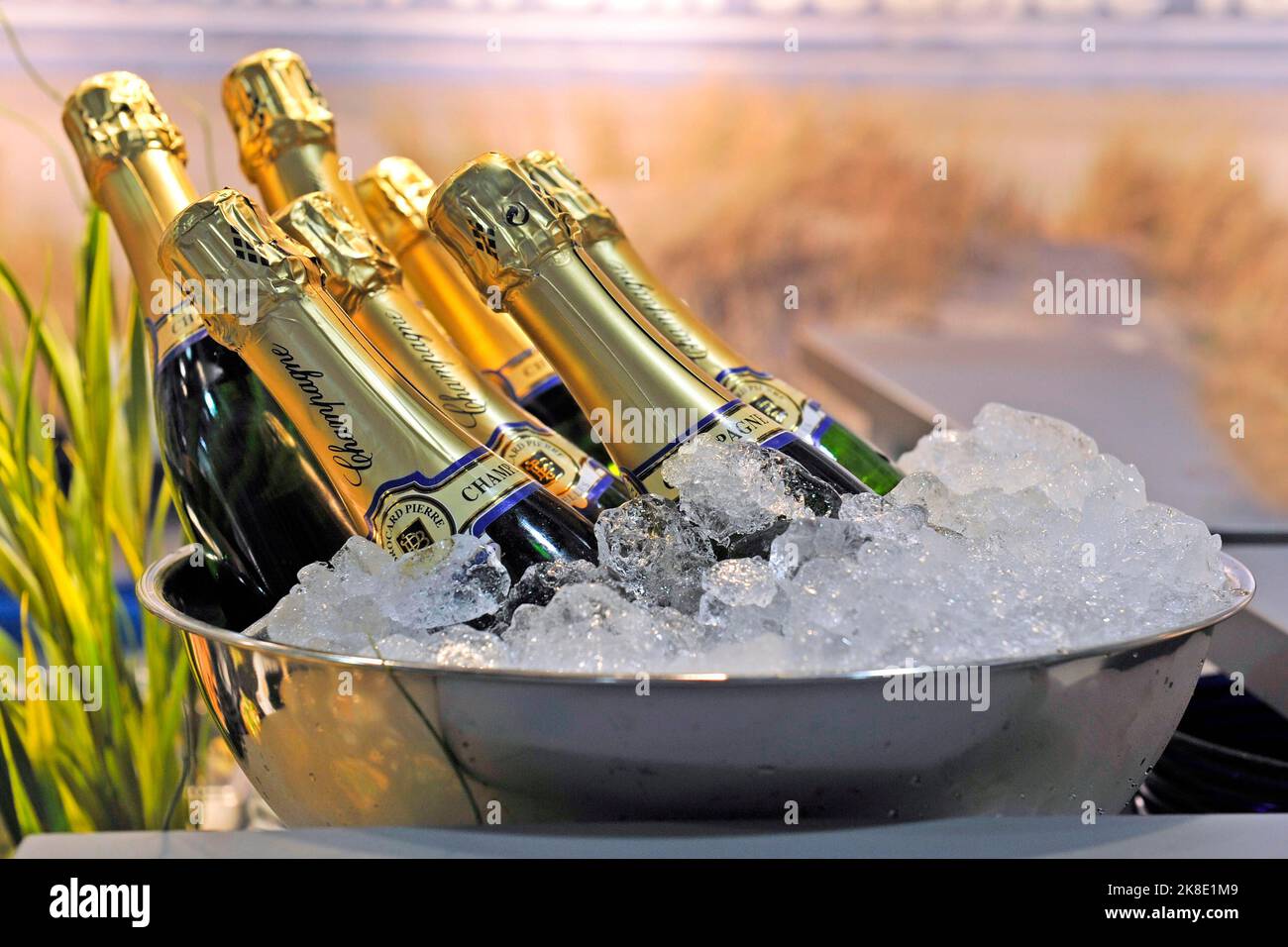 Celebrate champagne hi-res stock photography and images - Alamy