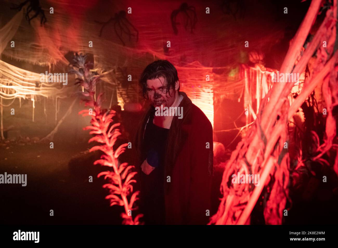 Warwick castle halloween hi-res stock photography and images - Alamy