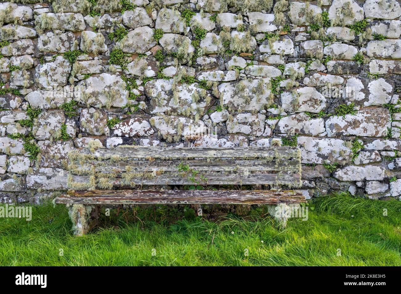 Old bench in front of stone wall with moss and lichen, Highlands, Isle of Skye, Inner Hebrides ...