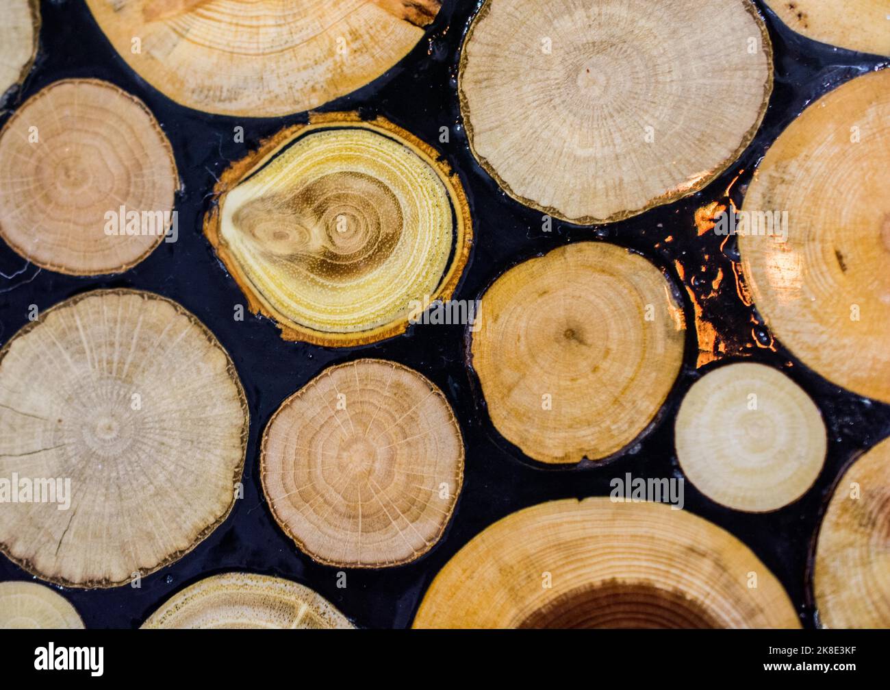 Wood Log cut in round thin pieces in view Stock Photo - Alamy
