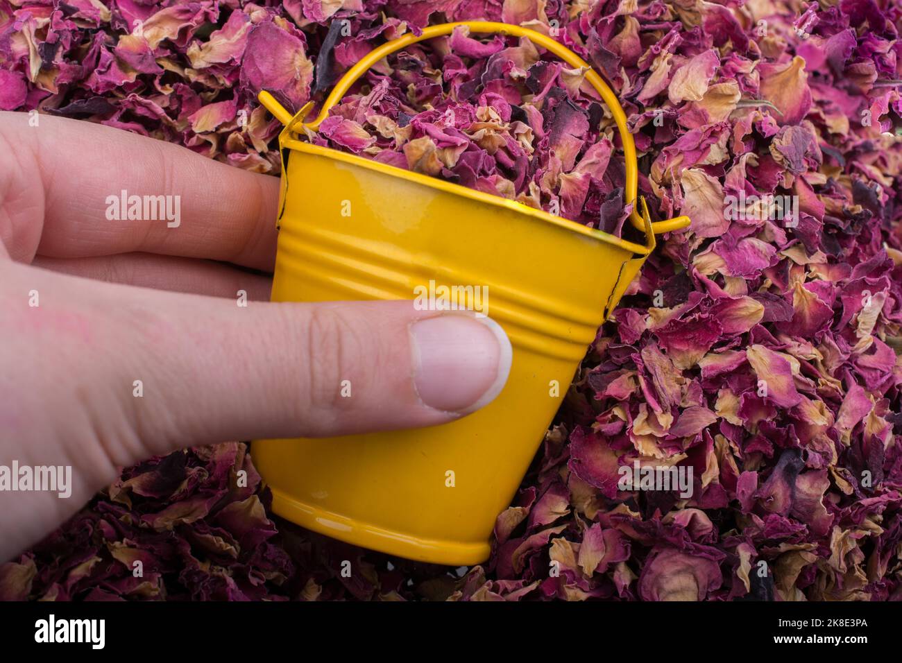 Little bucket on a background of dried rose petals Stock Photo - Alamy