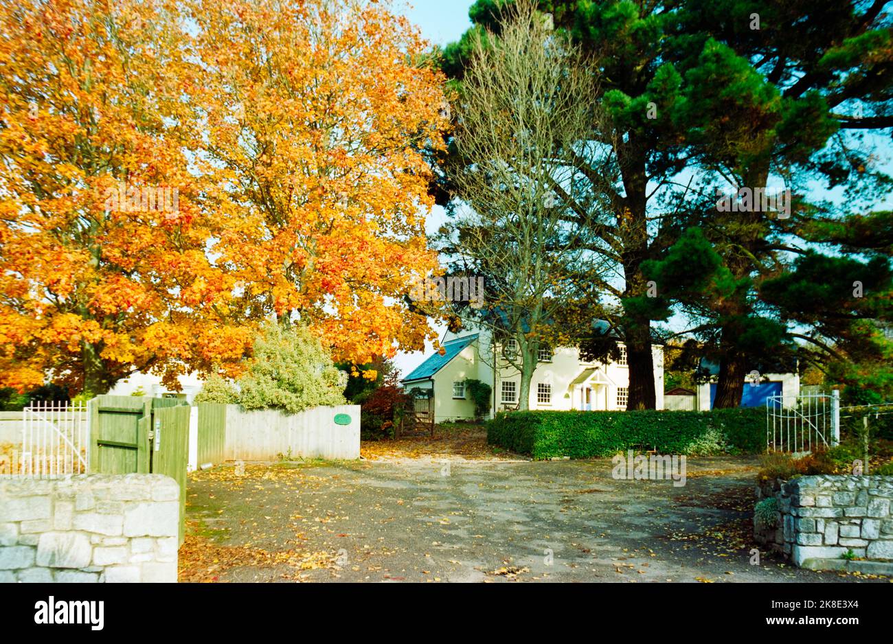 Autumn comes to a Devon Village. East Budleigh in November Stock Photo ...