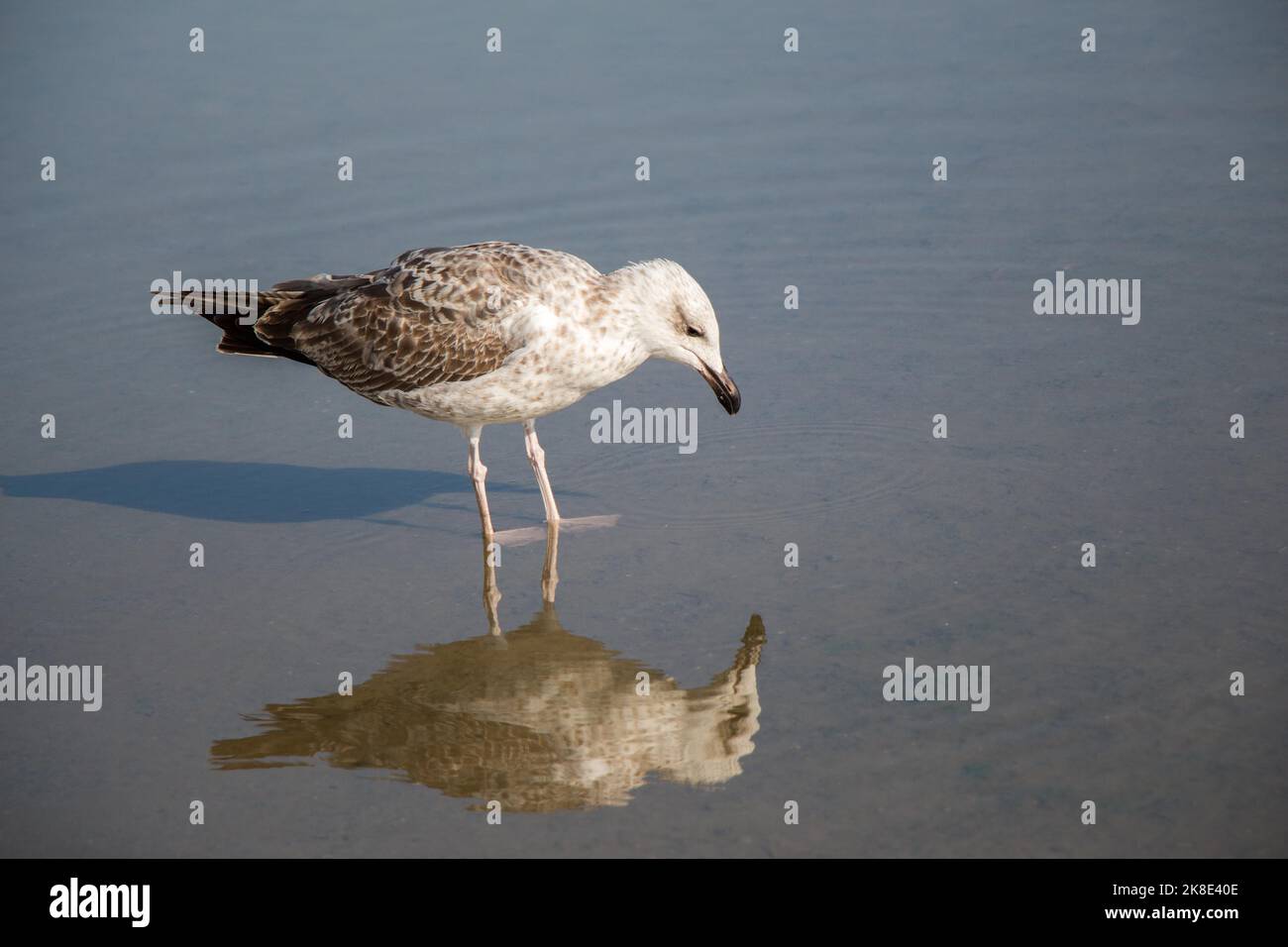 Rest ground hi-res stock photography and images - Alamy