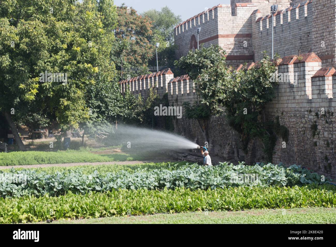 Man watering crops hi-res stock photography and images - Alamy