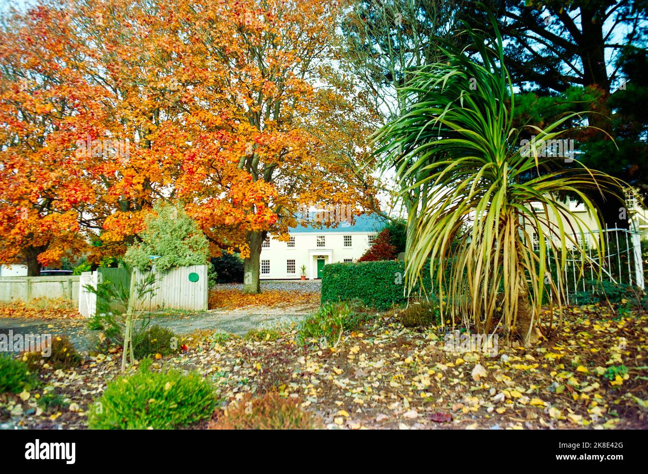 Britain in bloom 2003 hi-res stock photography and images - Alamy