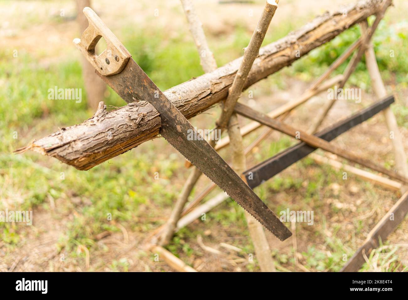 Saw on a small log to cut outdoors Stock Photo - Alamy