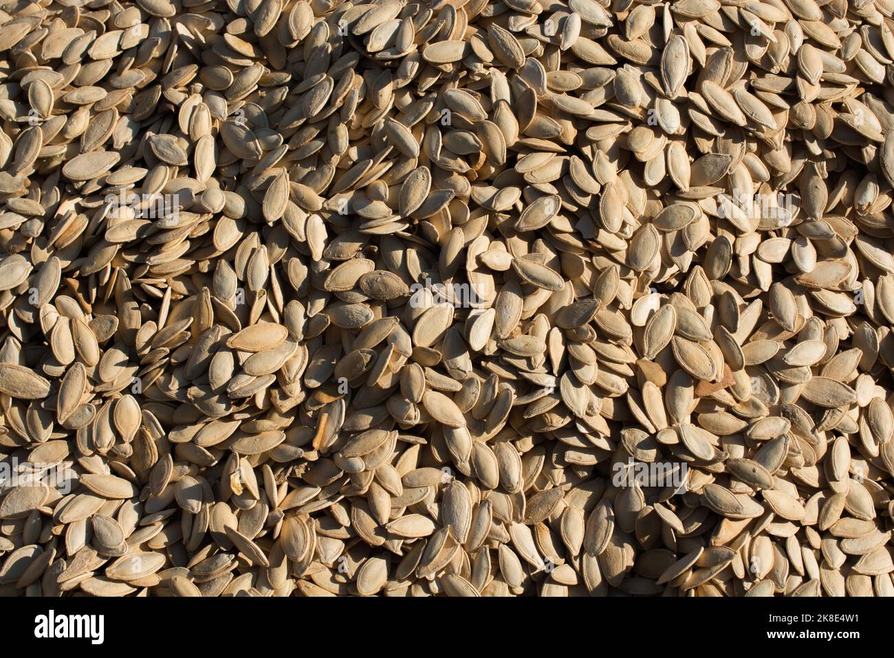 Fruit with many seeds hi-res stock photography and images - Alamy