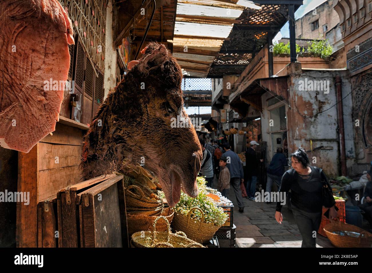 Camel head and meat, specialities at a market stall, butchery ...