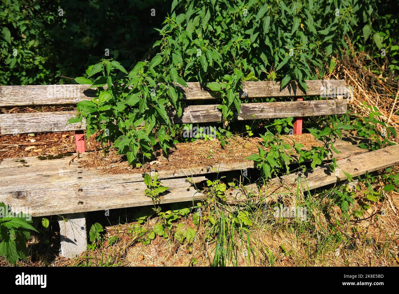 Rotten, collapsed bench by the wayside under a tree Stock Photo - Alamy