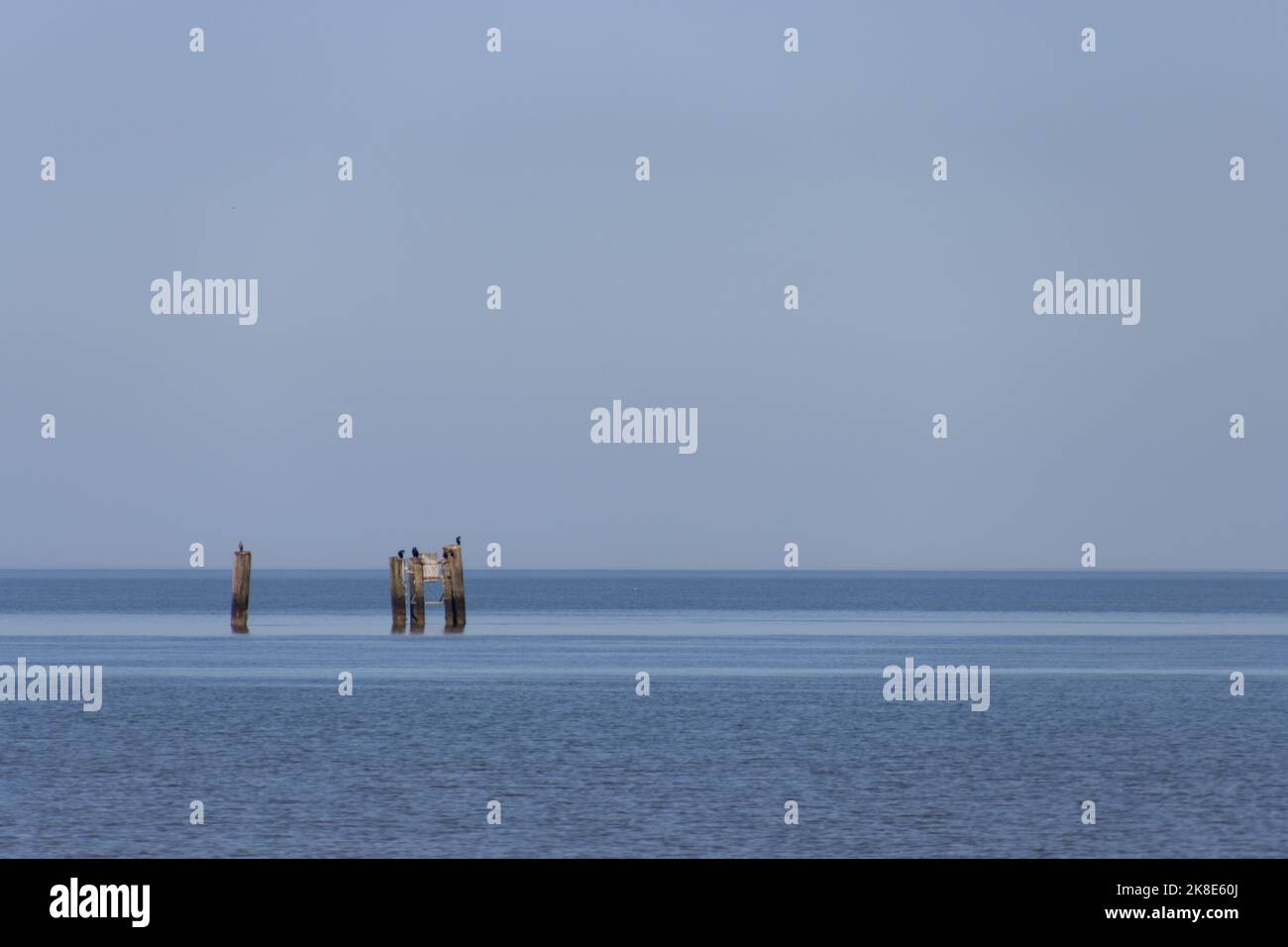 Wooden poles in water hi-res stock photography and images - Alamy
