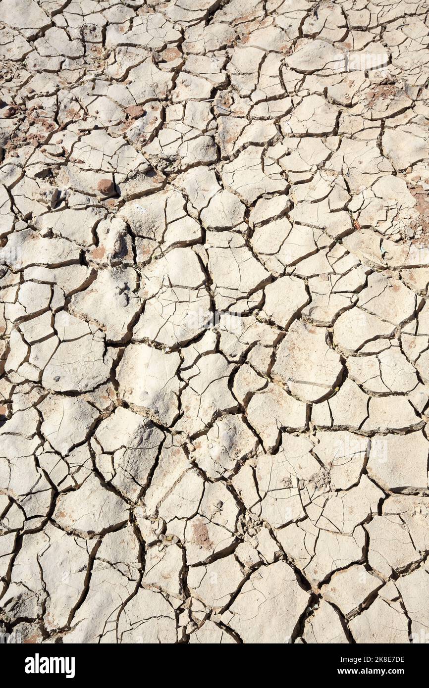 Dry River bed in the desert with sun baked dry clay forming a craquleke ...