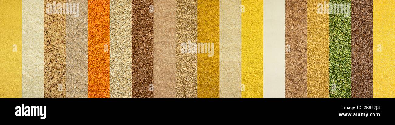 Various grain cereals banner, top view, wheat and oats, rice and peas ...