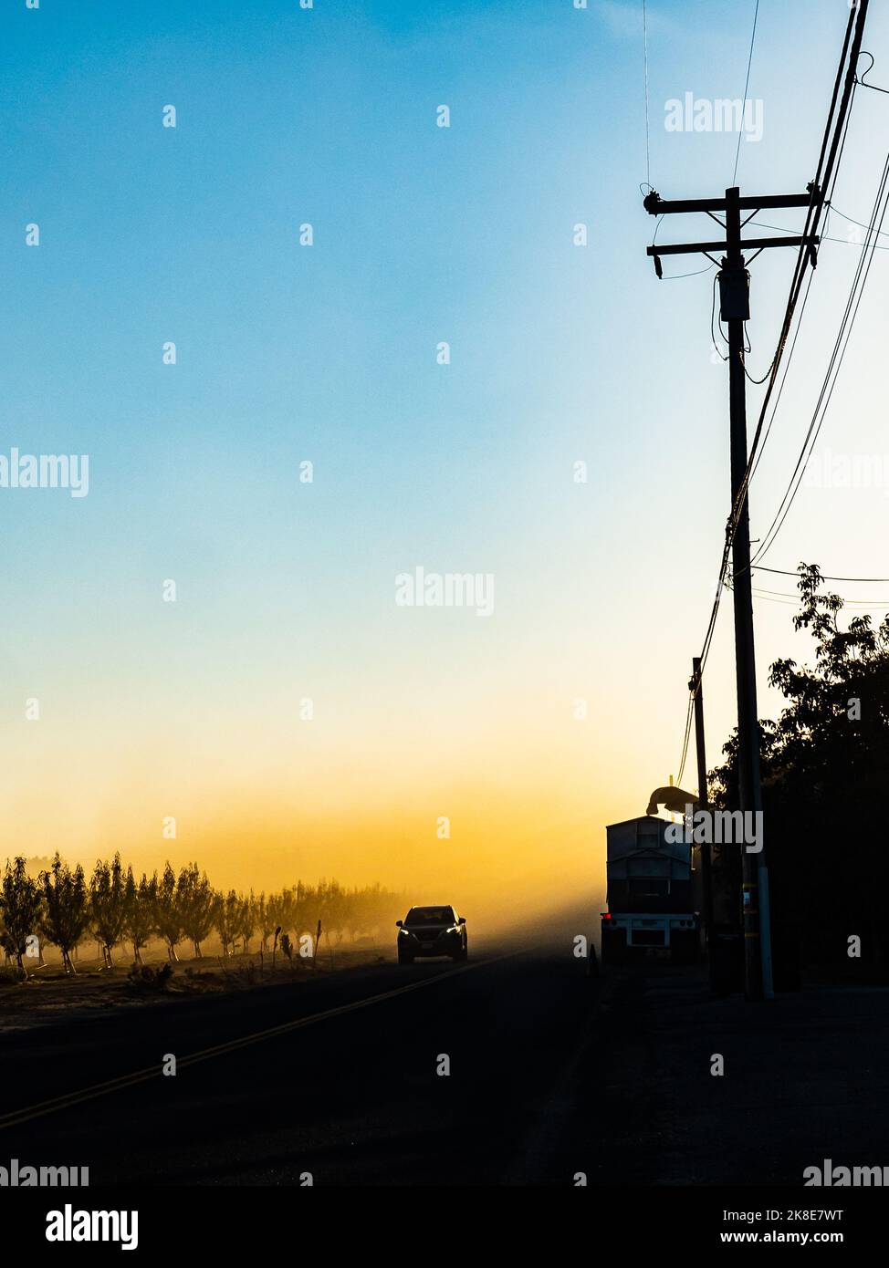 Early morning, the sun rises, a truck waits to be filled with a harvest ...