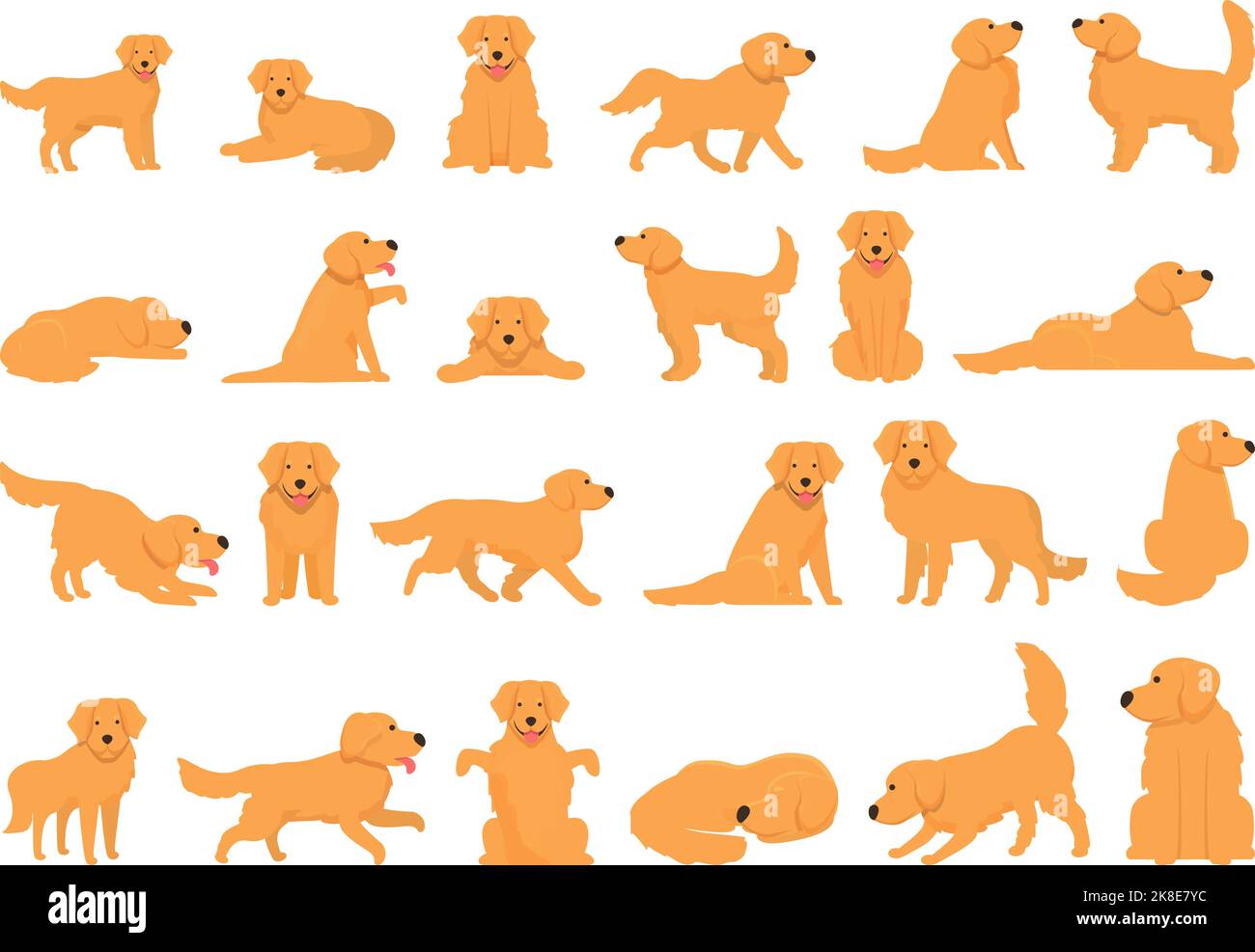 Golden retriever coat Stock Vector Images - Alamy